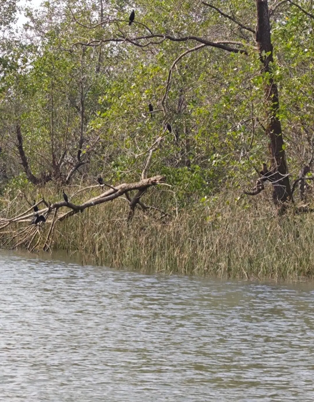 Honavar Backwater Boat Ride online Booking