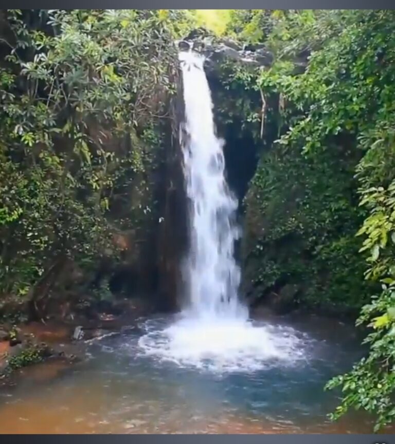 honnavar Sharavathi backwater boating price 2025 - Honavar boating