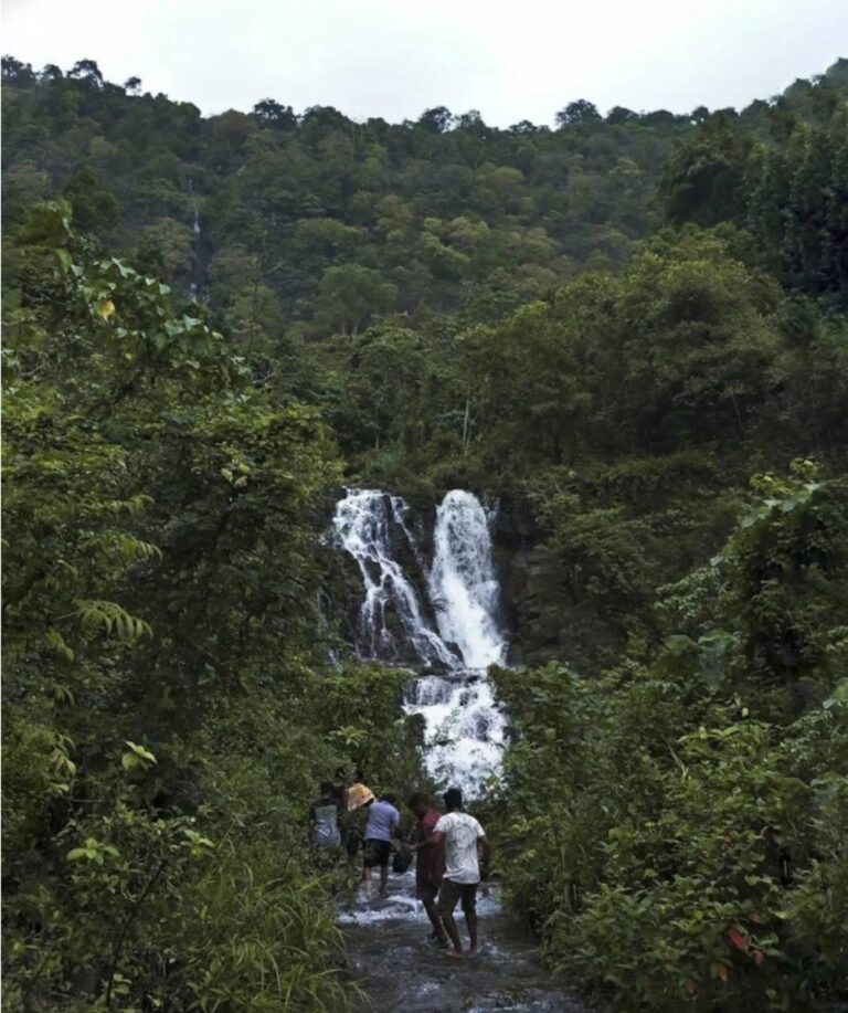 honnavar Sharavathi backwater boating price 2025 - Honavar boating