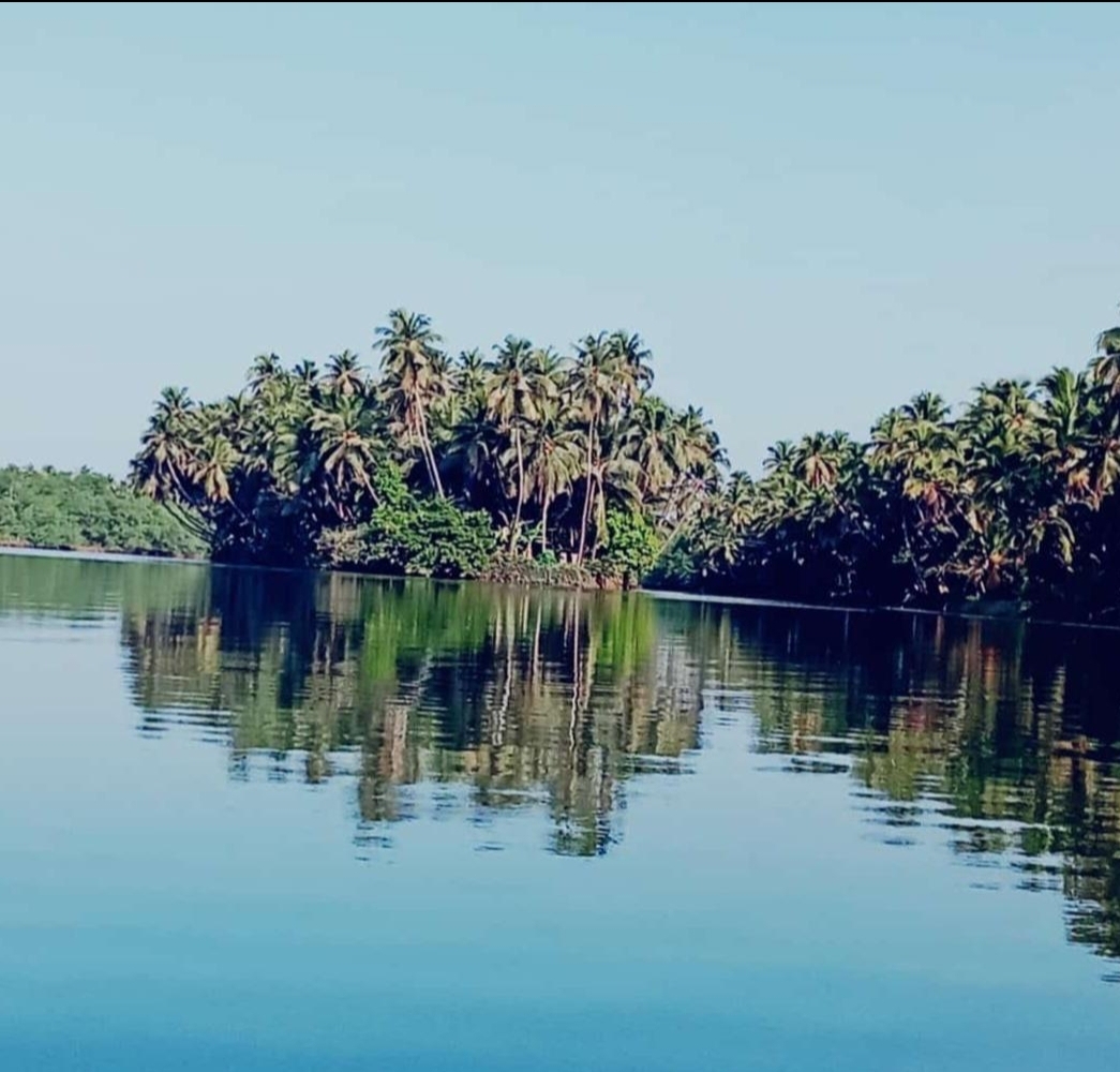 Backwater Boating in Honavar All You Need to Know Price| Packages ...