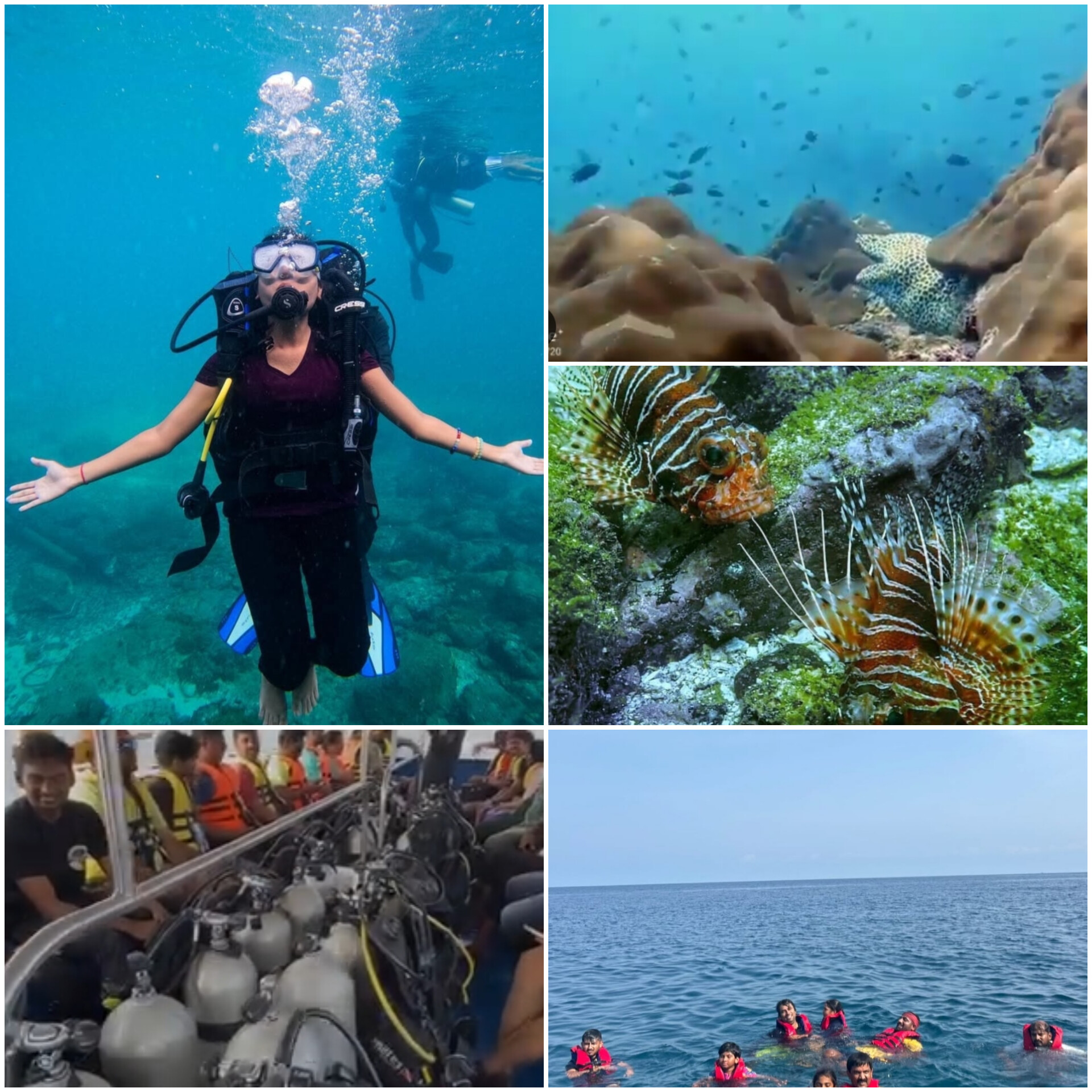 Muradeshwar Scuba Diving Price RS 3500 Book Online for Netrani Island ...