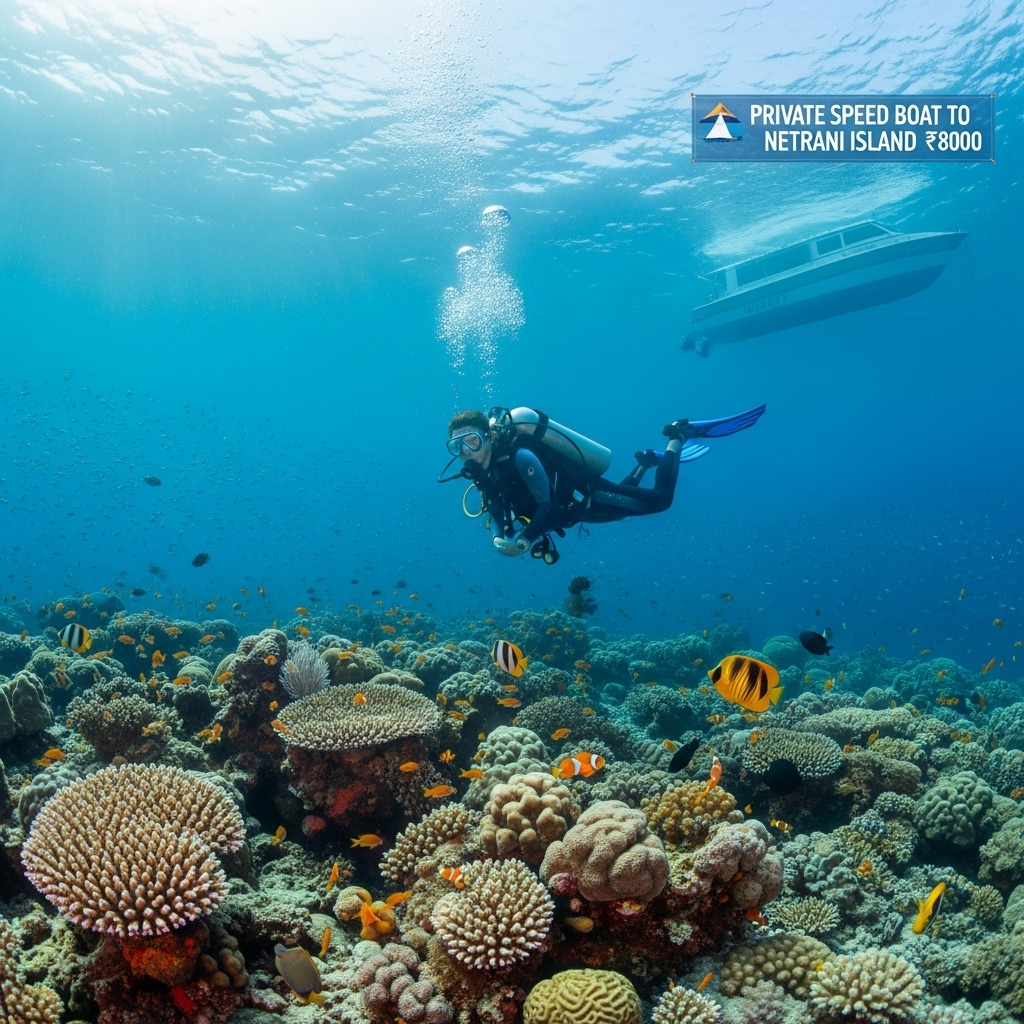 Scuba Diving in Murudeshwar | Private Speed Boat to Netrani Island ...